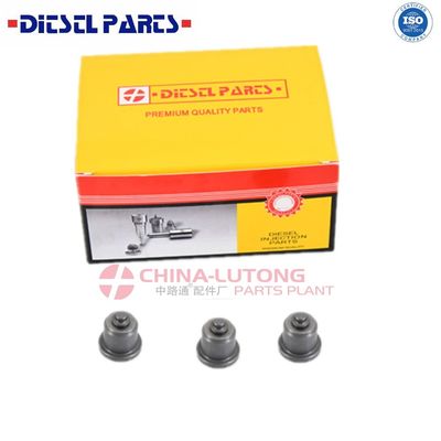 Quality Common Rail Injector & Common Rail Nozzle Manufacturer